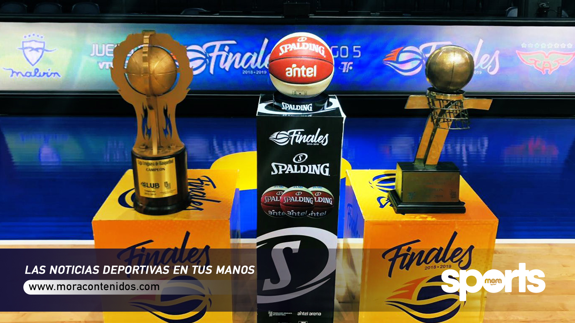 basketball – Mora Contenidos